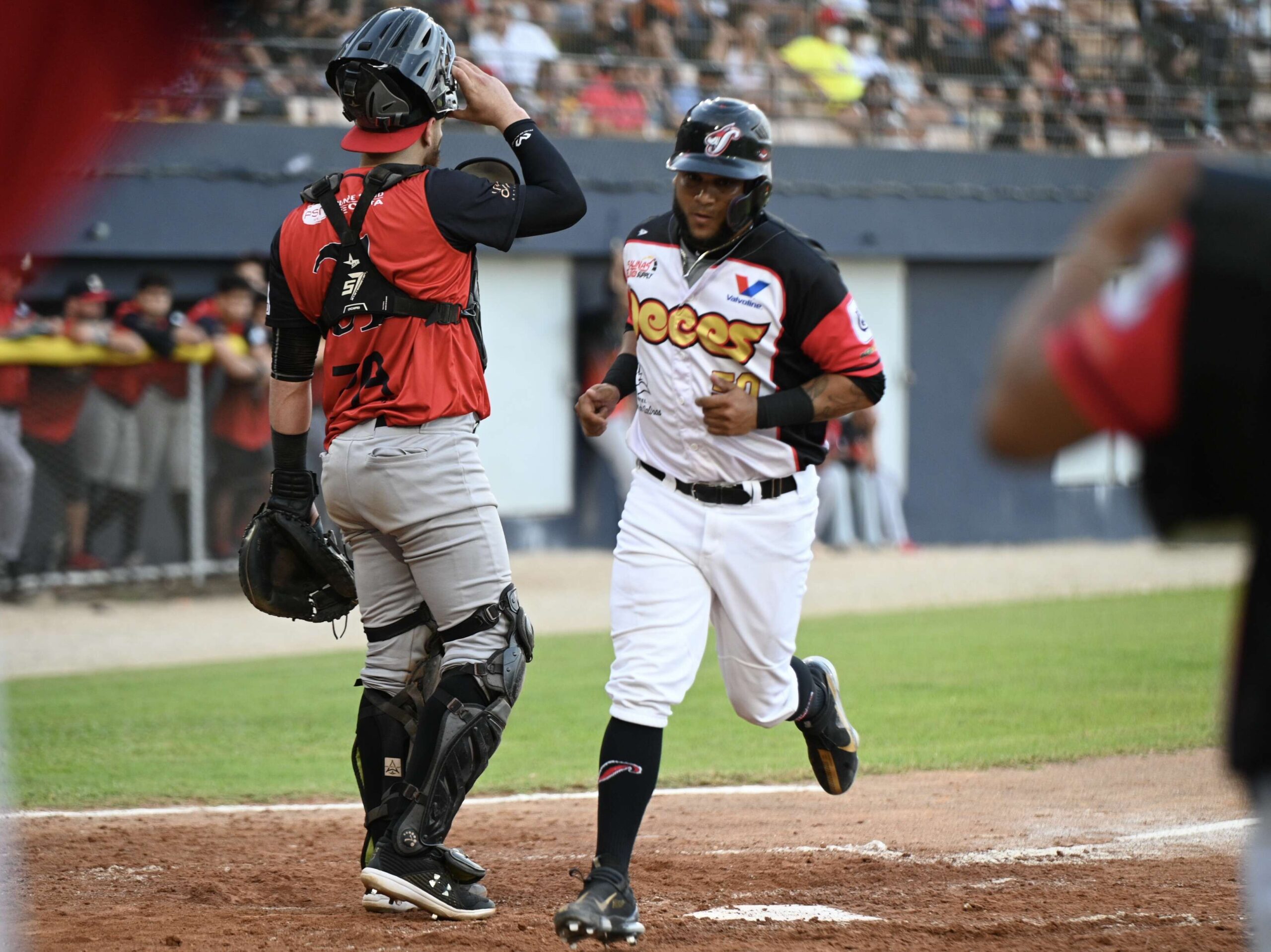 Salinas conserva la mejor racha activa de postemporada - NotiCel - La verdad como es - Noticias ...