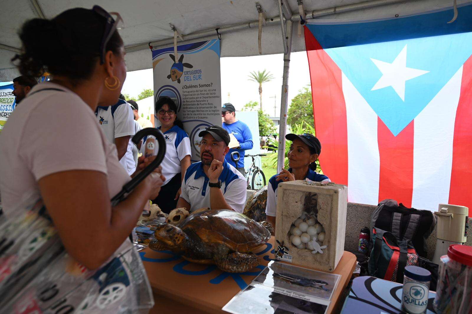 Concurrido el Festival del Tinglar en Luquillo - NotiCel - La verdad ...