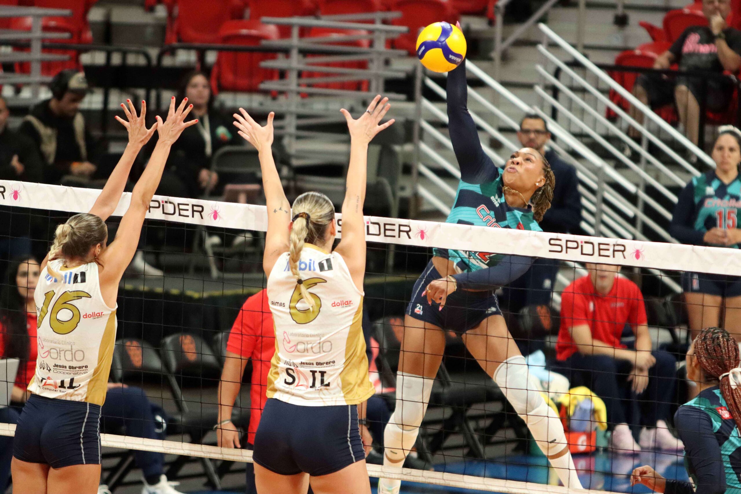 Vuelven a ganar las Criollas; a ley de una para el campeonato - NotiCel - La verdad como es ...